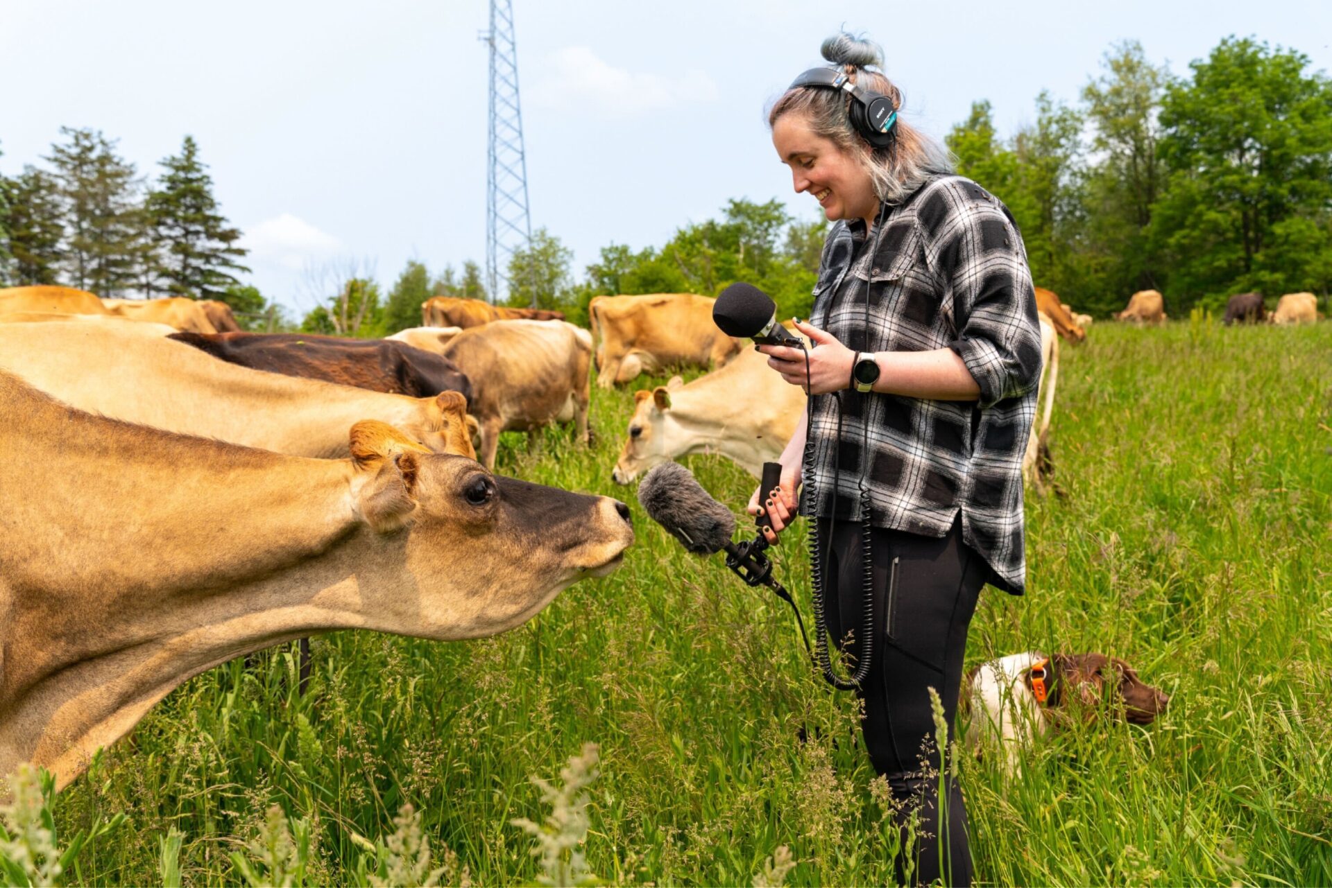 Creative best practices: Lessons from Organic Valley’s custom ...